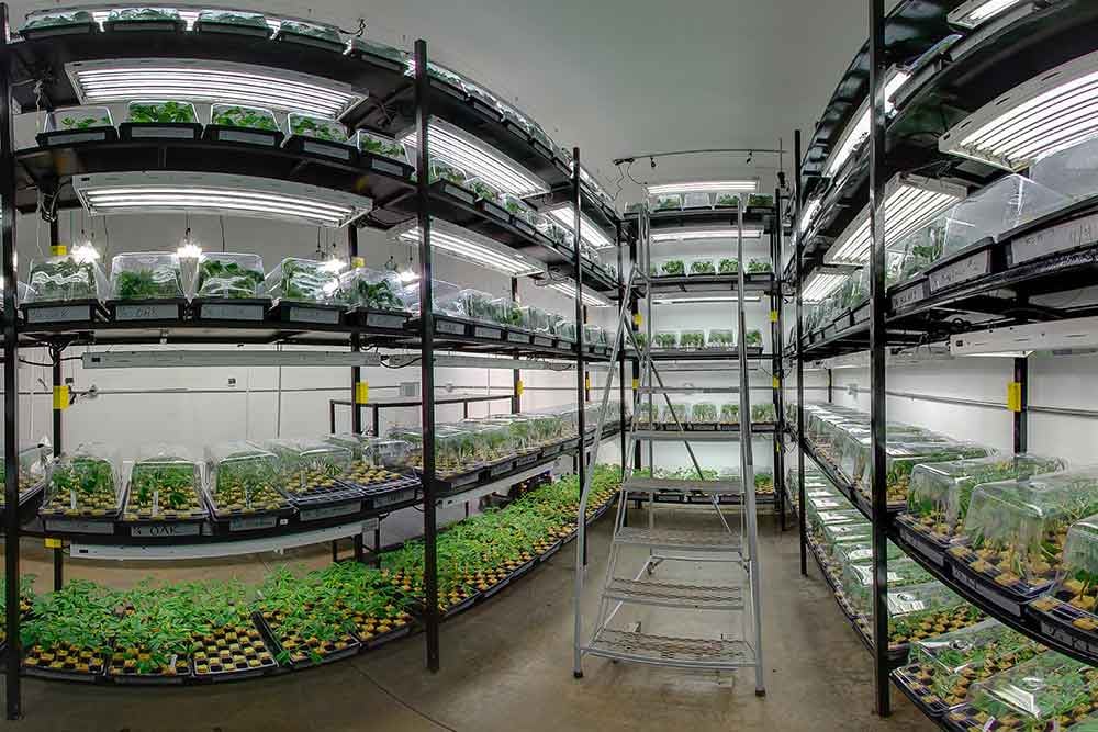 Quality Management Software for Manufacturing | QT9 Software